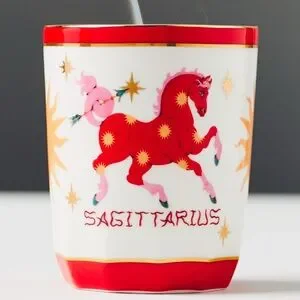 Anthropologie | Accents | Lou Benesch X Anthropologie Stargazer Zodiac ...